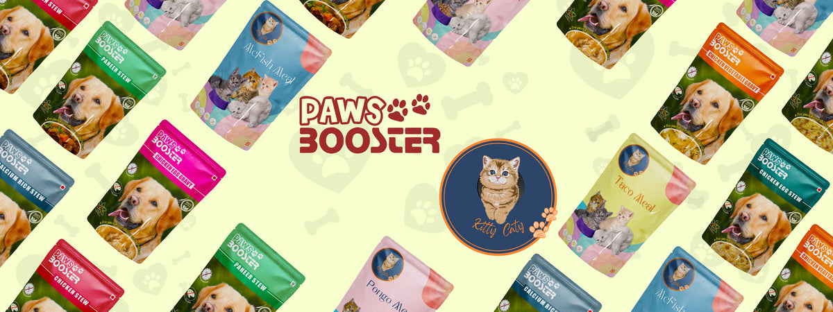 Boost Your Dog's Nutrition: How Gravy Food Can Enhance Their Health ...